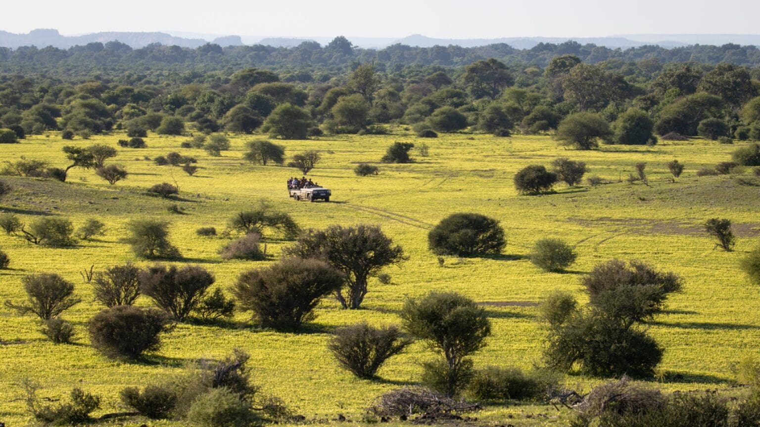 Exciting Safari Specials for 2025 & 2026 at Mashatu Game Reserve ...