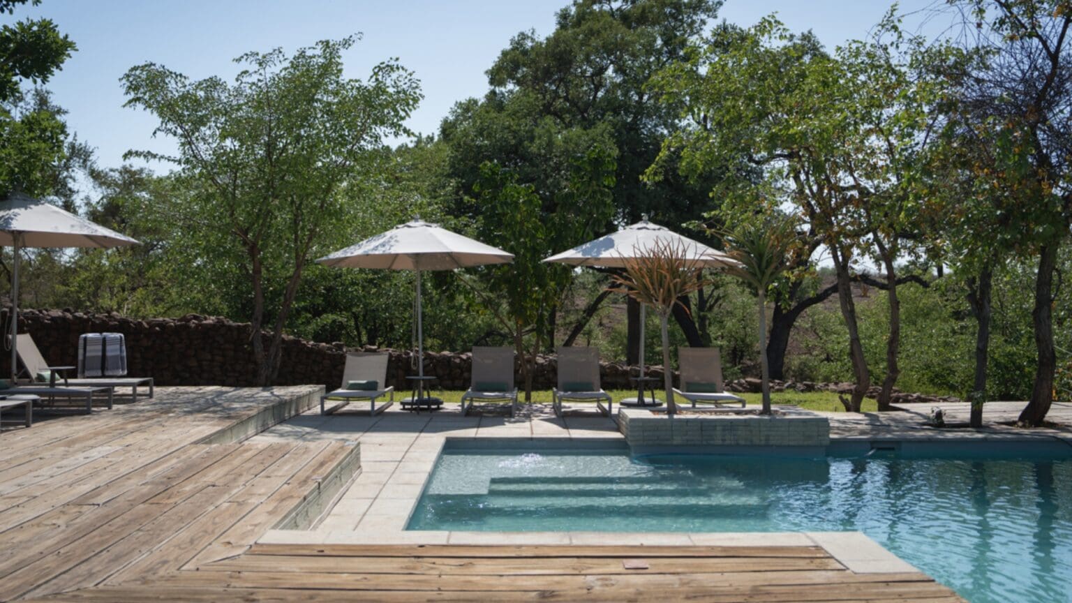 Exciting Safari Specials for 2025 & 2026 at Mashatu Game Reserve ...